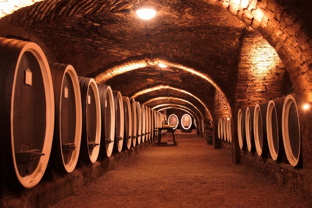 Cave En Terre Battue
